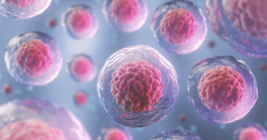 Leucemia Linfatica Cronica: come si cura e quanto si sopravvive? Leucemia Linfatica Cronica: come si cura e quanto si sopravvive?